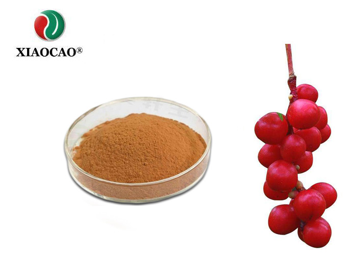 Food Grade Organic Schisandra Extract Powder Fruit Part Solvent Extraction