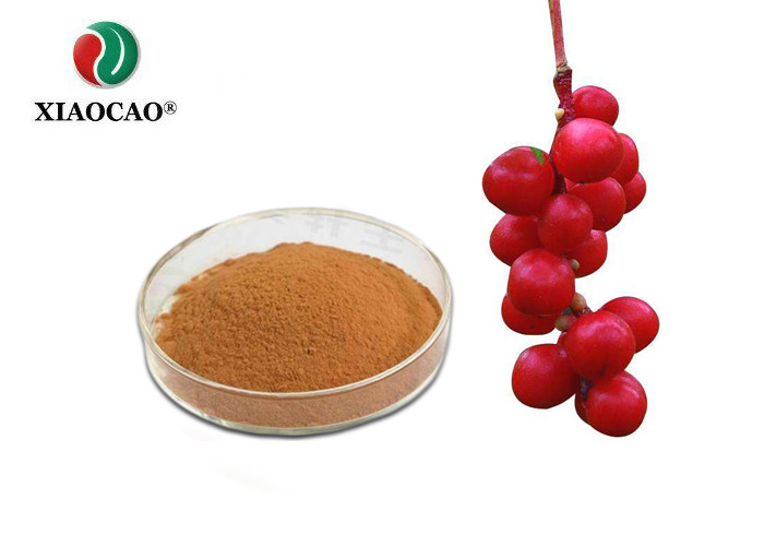 Natural Schizandrae Chinese Fruit Extract , Schisandra Berry Extract Improve Physical Fitness