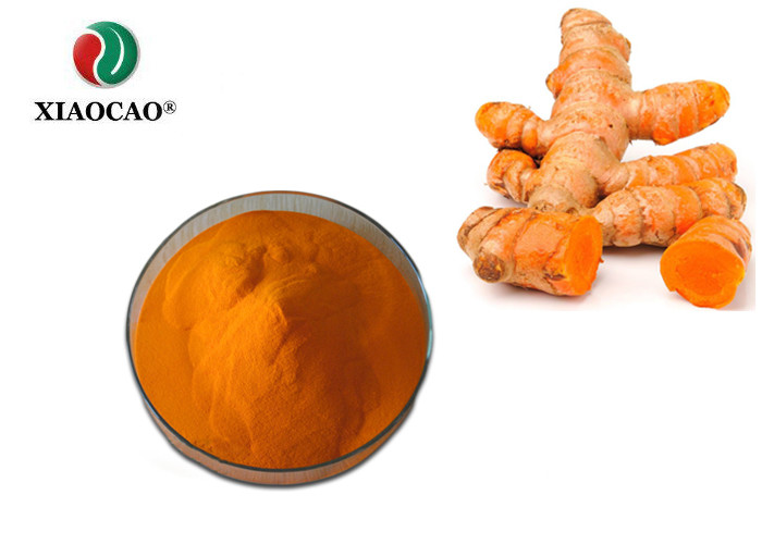 Powder Form Organic Curcumin Extract Solvent Extraction Improve Immunity