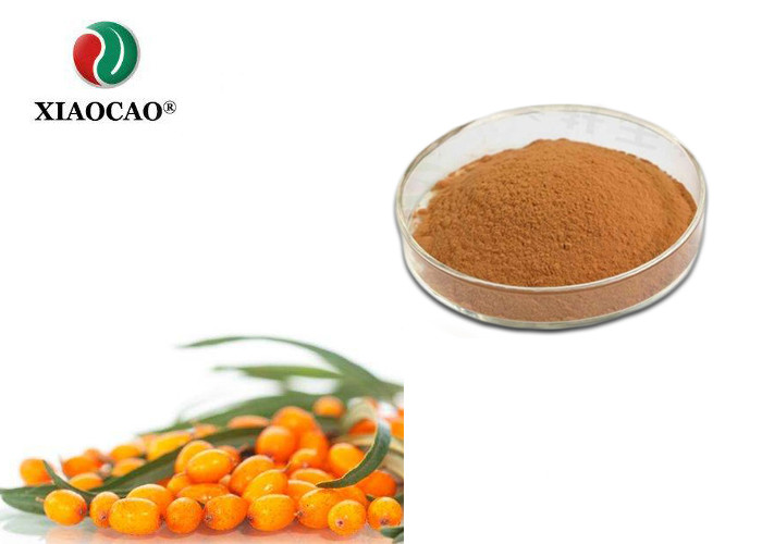 Dried Organic Sea Buckthorn Powder Improve Microcirculation Anti Aging