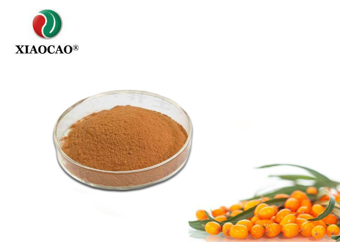 100 Organic Sea Buckthorn Leaf Extract Cure Sugar Diabetes Rich Nutrients