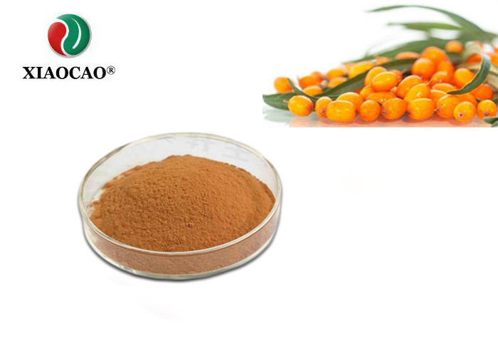 Widely Used Organic Sea Buckthorn Powder AD FD Extraction Anti Inflammatory