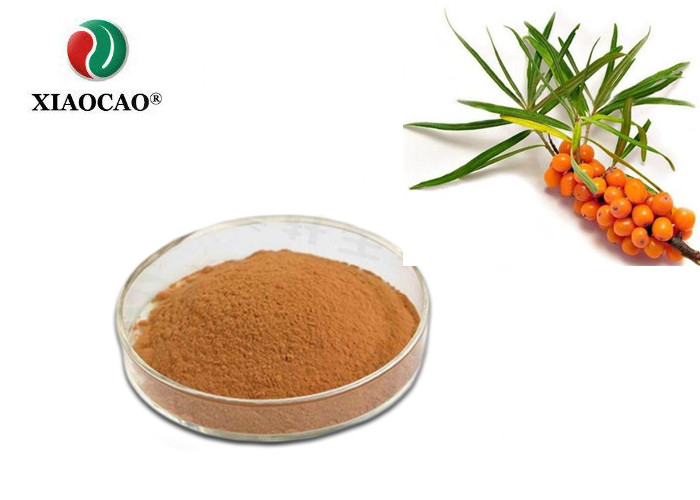 Fine Light Yellow Organic Sea Buckthorn Powder Anti Aging Function