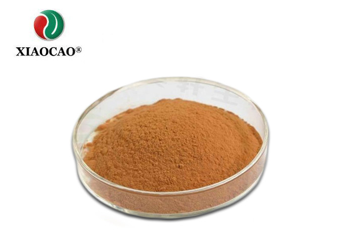Pure Sea Buckthorn Extract Powder , Sea Buckthorn Juice Powder Pharmaceutical Field
