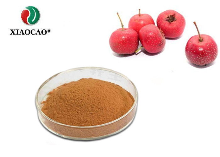 Organic Hawthorn Berry Solid Extract Characteristic Odor Improving Ocardial Blood