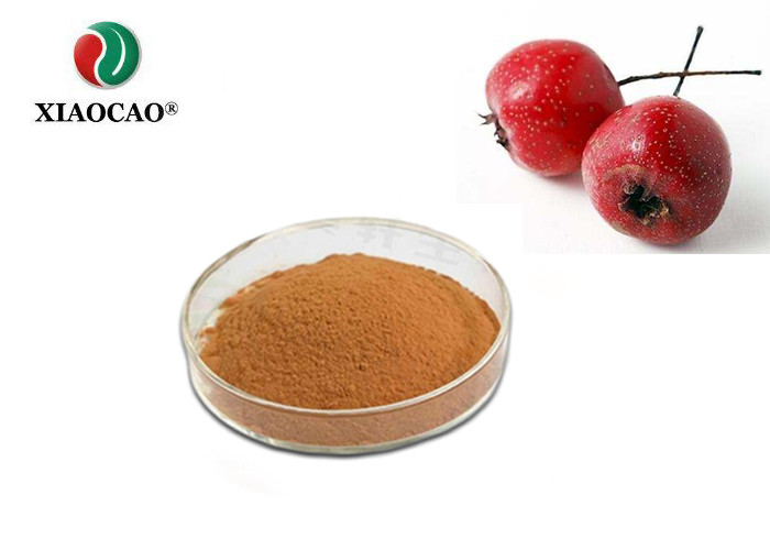 Anti Tumor Organic Hawthorn Berry Powder Lowering Blood Pressure
