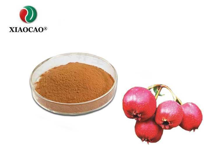Natural Hawthorn Berry Extract , Hawthorne Solid Extract Enhancing Immunity