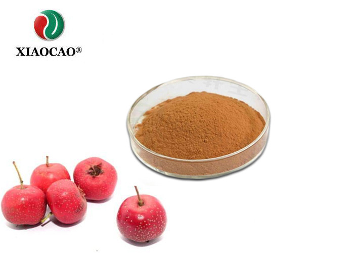 Natural Hawthorne Herb Extract Prevent Cardiovascular Diseases Decreasing Blood Lipid