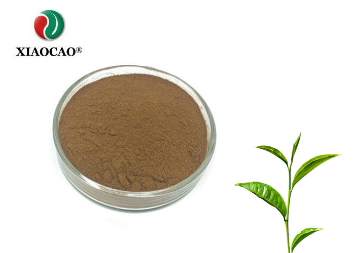 High Potency Natural Botanical Extracts , Green Tea Concentrate Extract Anti UV Radiation