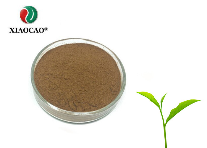 Pure Green Tea Standardized Extract Leaf Part Reduce Blood Pressure