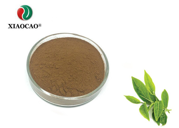 Anti Aging Organic Green Tea Extract Powder Enhance Immune Function