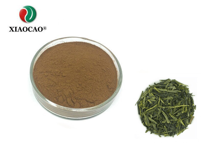 80 Mesh Green Tea Standardized Extract Anti Oxidation Food Field