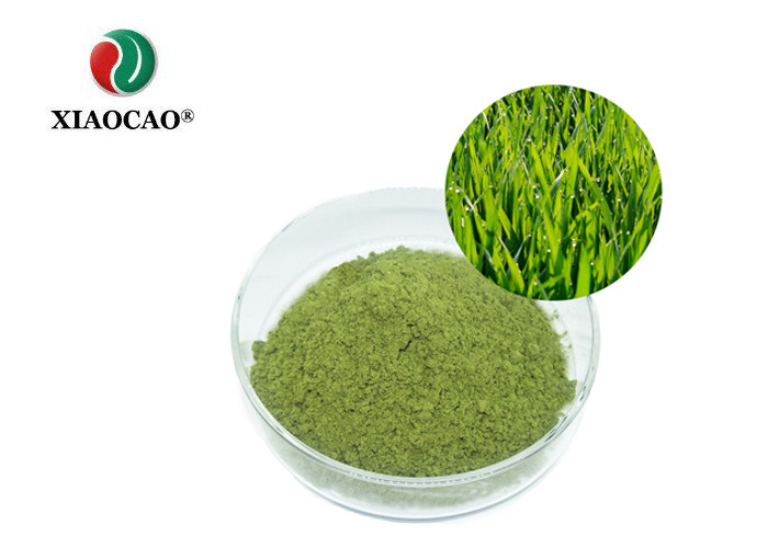 Organic Barley Grass Juice  Powder / NOP EU Pure Green Barley Grass Powder