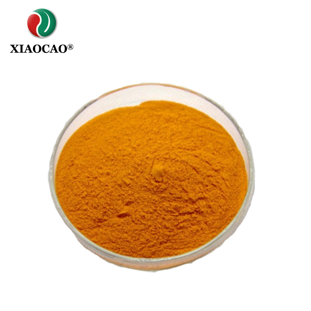 Food Grade Healthy Organic Herbal Extracts NOP EU Goji Berries Extract