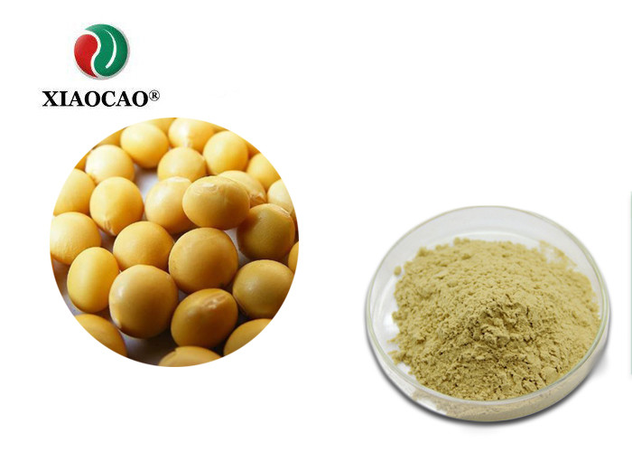 Multifunctional Organic Herbal Extracts Soy Protein Soybean Protein Powder