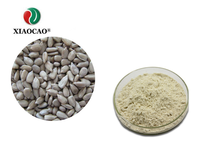 Food Grade Organic Herbal Extracts Sunflower Seed Protein Powder