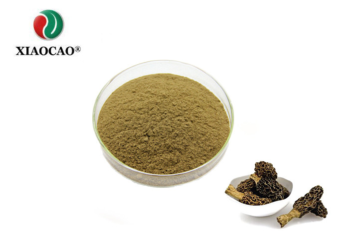 Antibacterial Organic Herbal Extracts Morchella Esculenta Extract Powder