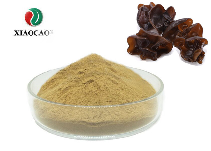 OEM Organic Herbal Extracts Black Fungus Powder For Health Protect