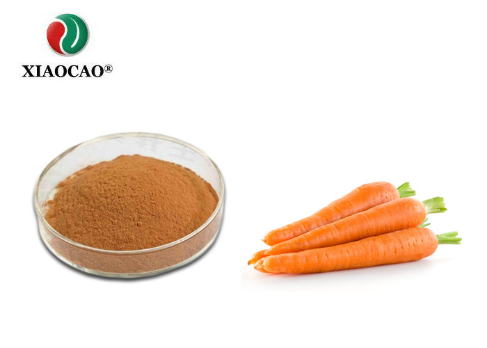 Food Grade Organic Herbal Extracts Carrot Powder Non Irradiation
