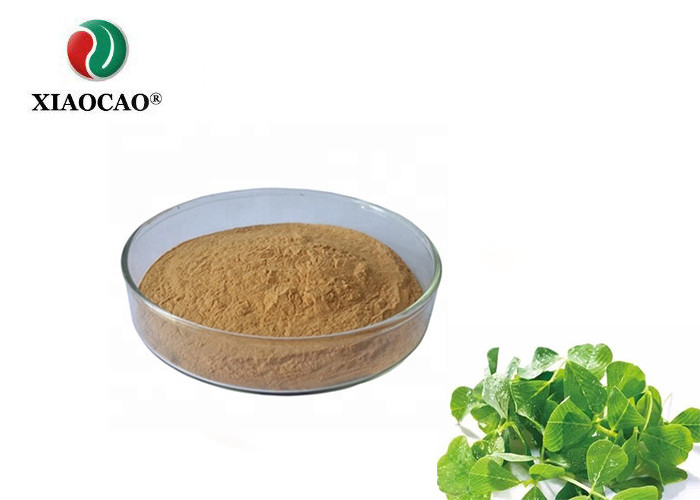 100% Nature Alfalfa Powder Extract / Plant Extract Alfalfa Seed For Improving Eyesight