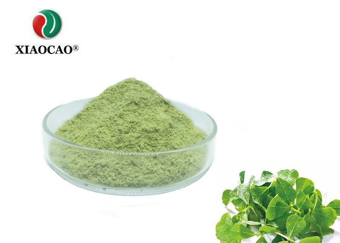 Food Grade Organic Herbal Extracts Organic Alfalfa Juice Powder Green
