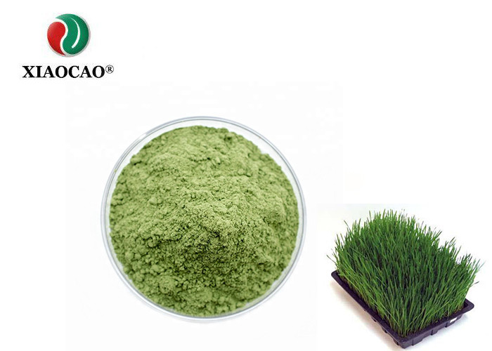 200 Mesh Organic Barley Grass Powder / Green Barley Grass Japan 100%