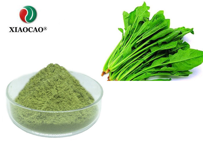 Food Grade Spinach Juice Powder / Organic Dehydrated Spinach Powder