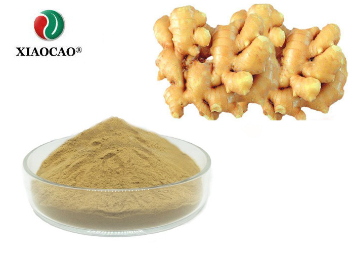 Food Additive Pure Ginger Extract Powder / Nature Ginger Root Extract Powder