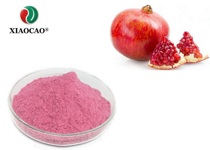 No Pigment Additives Freeze Dried Powder Pomegranate Fruit Juice Powder