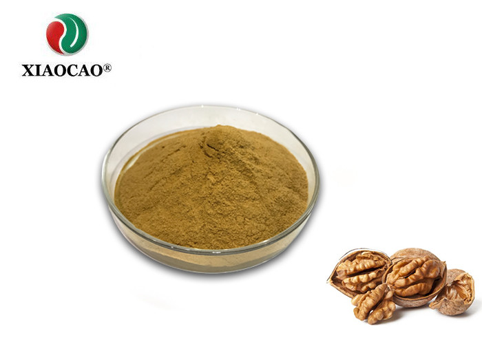 Juglans Nigra Hull Extract Freeze Dried Powder Kernel Organic Black Walnut Shell Powder