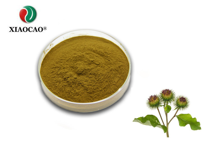 Brown Yellow Freeze Dried Powder Natural Burdock Root Extract Powder
