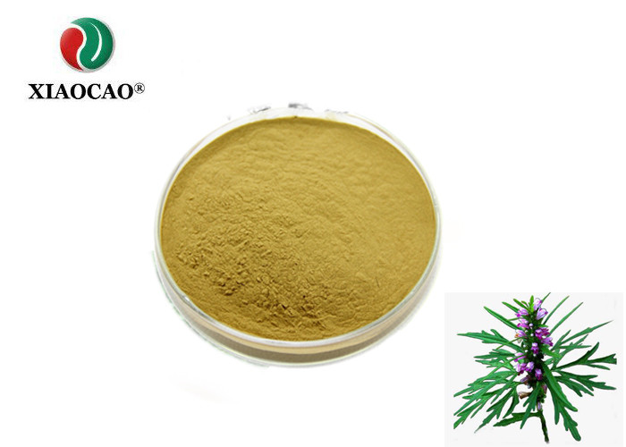 Leonurus Cardiaca Motherwort Extract Herba Leonuri Powder , Freeze Dried Greens Powder