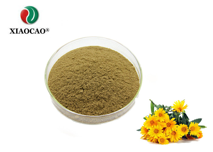 Pharmaceutical Organic Chrysanthemum Powder , Chrysanthemum Extract Powder