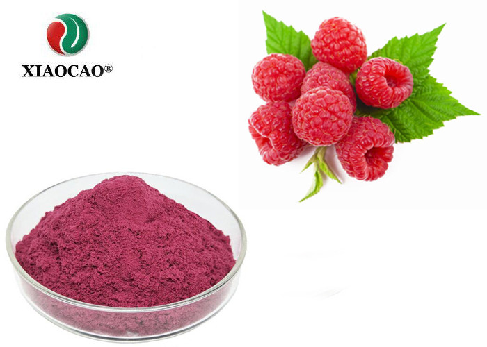 Fresh Fruit Product Organic Herbal Extracts Instant Cherry Juice Powder
