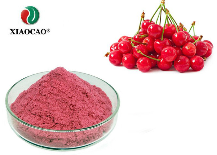 Fruit Product Fresh Food Extract Instant Cherry Juice Powder Food Grade