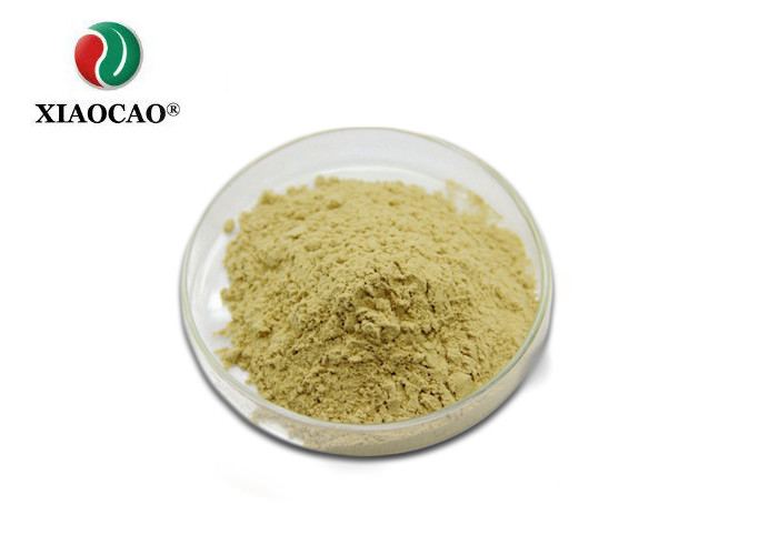 Organic Freeze Dried Powder Lilyturf  Powder / Maidong Extract Powder Ophiopogonin