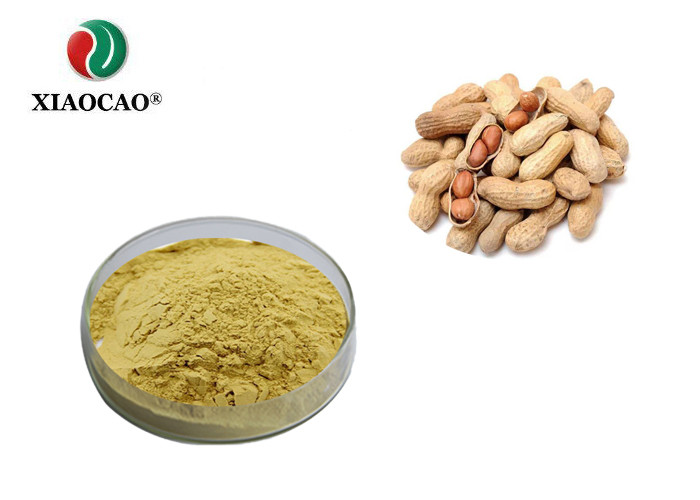 Peanut Shell Extract Luteoline / Arachis Hypogaea Extract Luteolin 98%