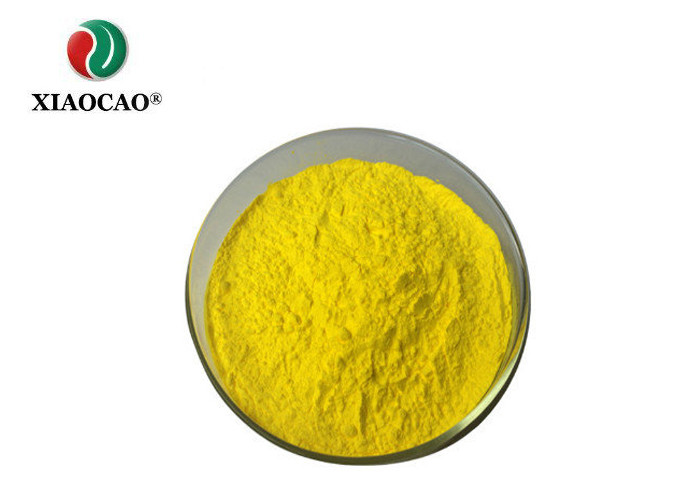 Sophora Japonica Natural Botanical Extracts Quercetin 95% / 98%