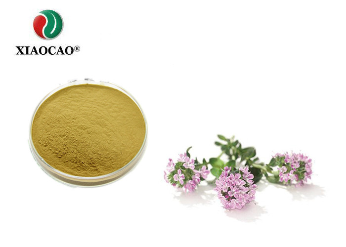 Antibacterial Thyme Leaf Extract Powder , Thymus Vulgaris Extract 10/1