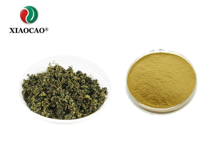 Gynostemma Pentaphyllum Natural Botanical Extracts For Regular Blood Pressure
