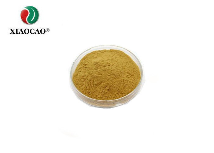 Honeysuckle Flower Organic Herbal Extracts 98% CAS No. 327-97-9