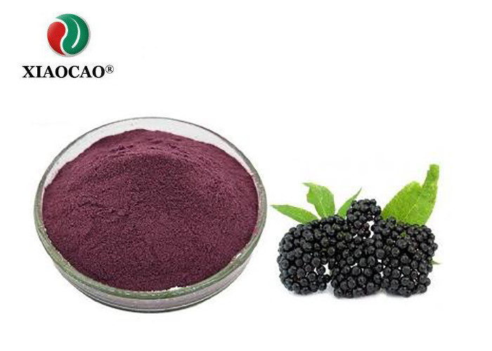 10/1-25% Organic Herbal Extracts Elderberry Anthocyanin Extract powder