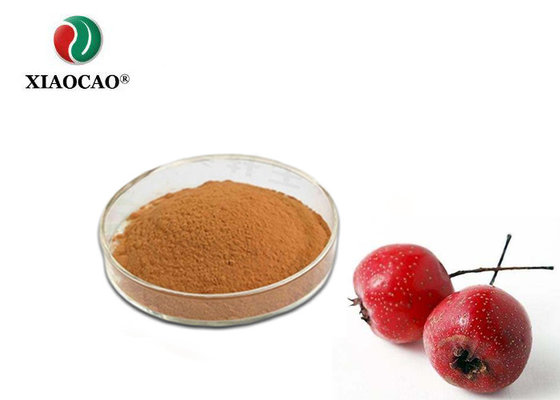 Fine Organic Hawthorn Berry Powder Rich Vitamin C For Cardiac Function