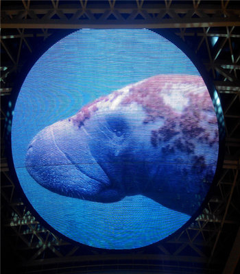 Easy Install LED Video Screen  Advertising Indoor / Outdoor Display Screen