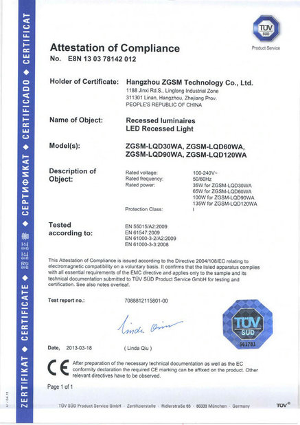China HANGZHOU ZGSM TECHNOLOGY CO.,LTD certification