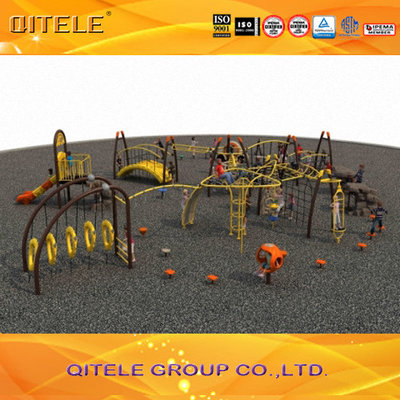 Professional Kids Outdoor Gym Equipment , Climbing Playground Equipment For School supplier