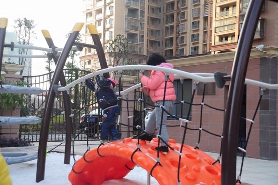 Professional Kids Outdoor Gym Equipment , Climbing Playground Equipment For School supplier