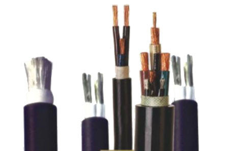 PVC Insulated Shipboard Power Cable Special Cables 0.6/1kv CXF / CXV / CVV