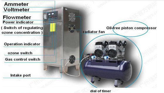 10g quartz glass tube water sanitizer ozone generator for swimming pool