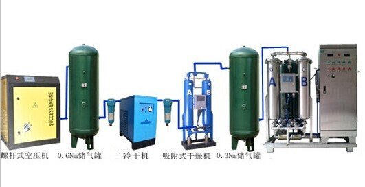 300g oxygen feed water treatment ozone generator for fish farming
